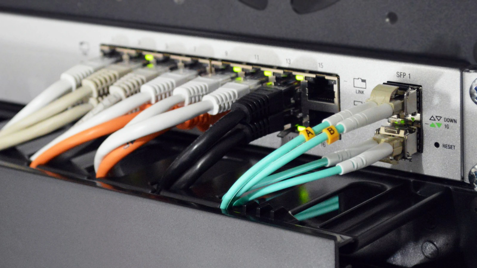 Services | Racecourse Data Technologies