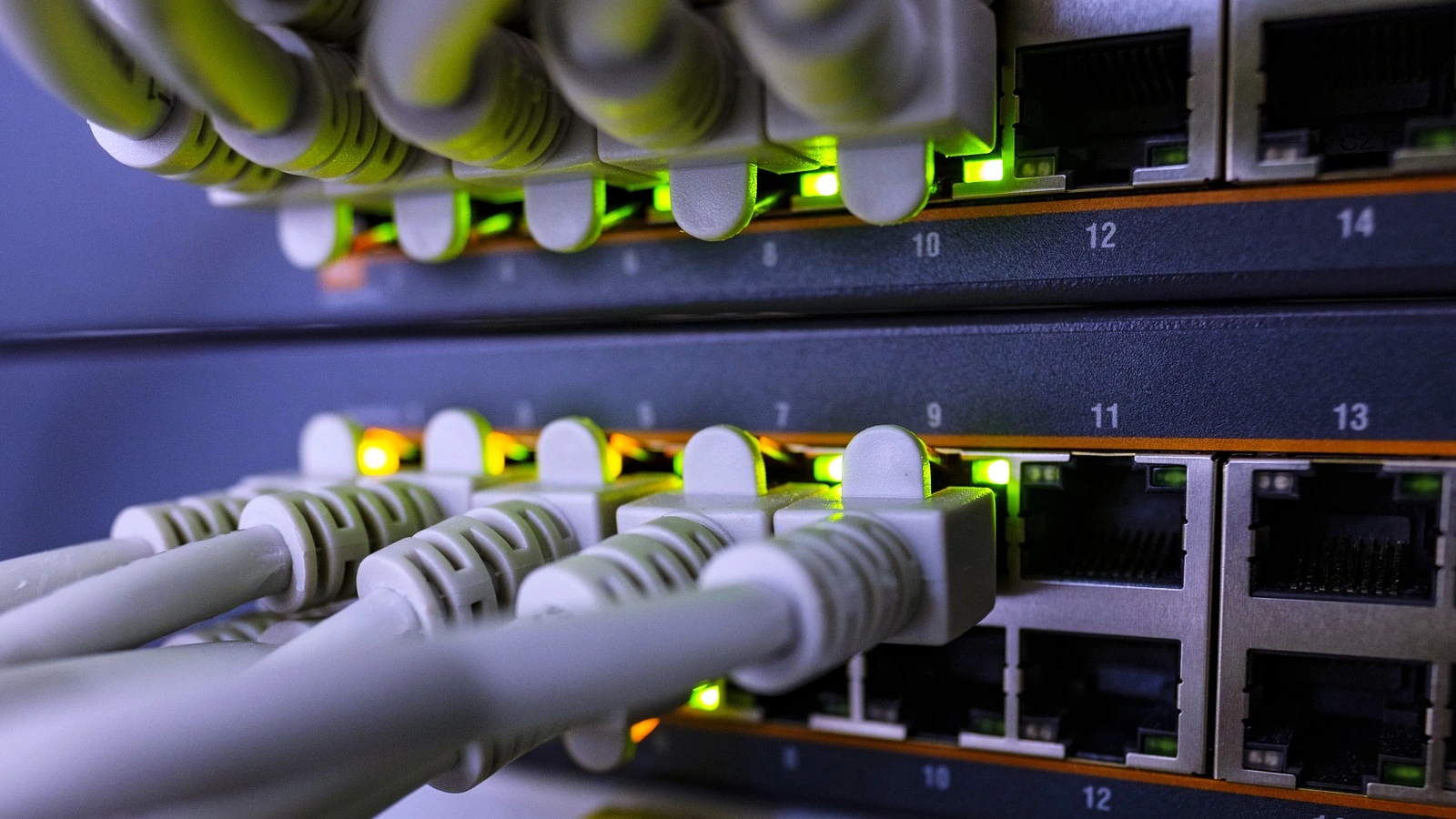 Businesses | Racecourse Data Technologies